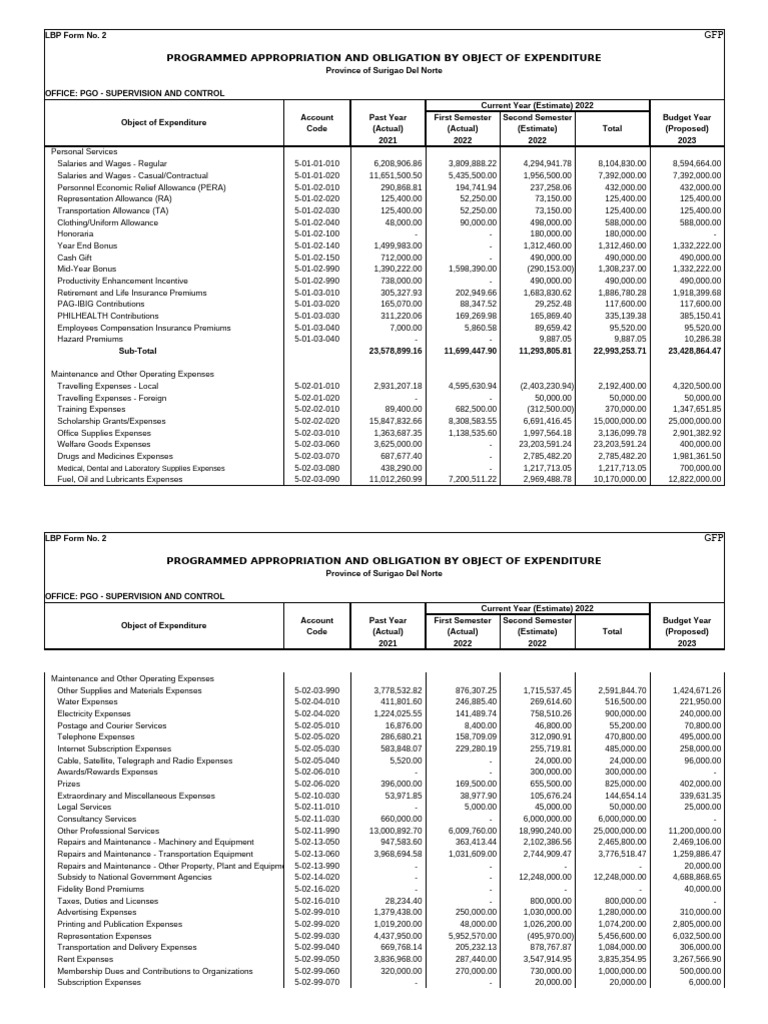 CY 2023 Annual Budget Report | PDF