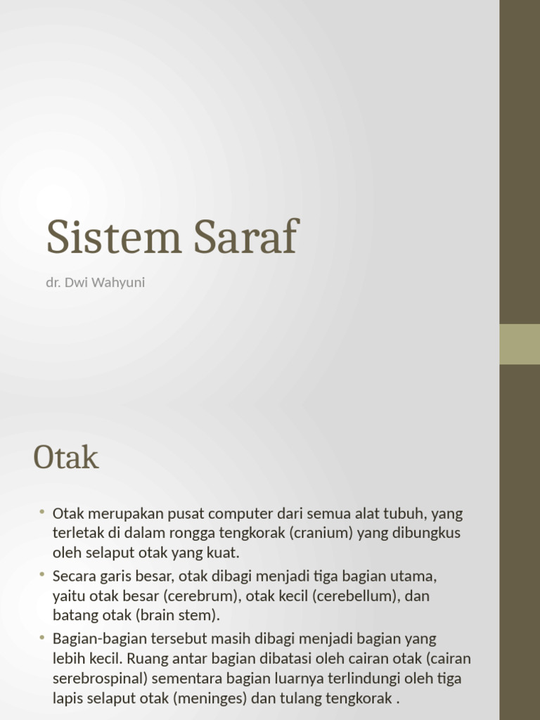 06 Sistem Saraf | PDF