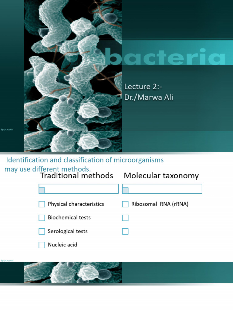 Bacterial Cell Structure - 1 | PDF