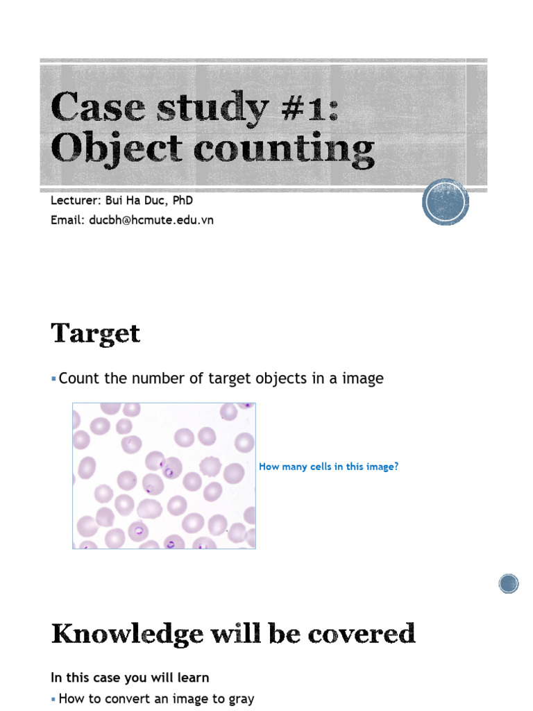 Case 1 Object Counting | PDF