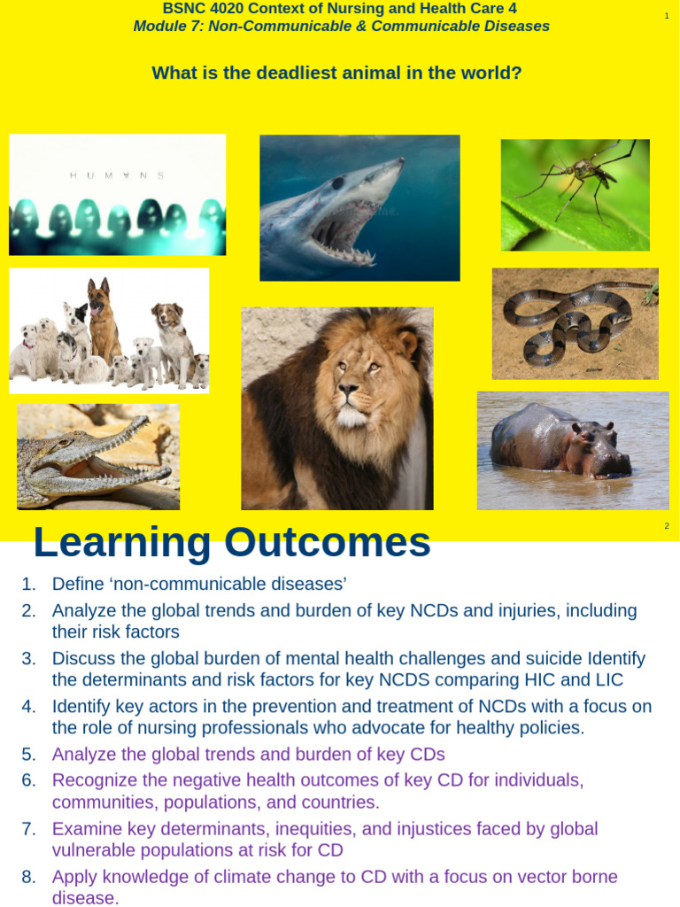 BSNC - 4020 - PPT - Mod7 - Class2 - Winter 2024 | PDF