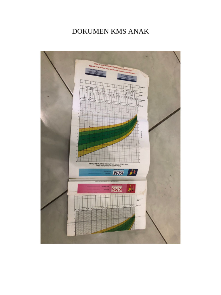 Dokumen Kms Anak | PDF