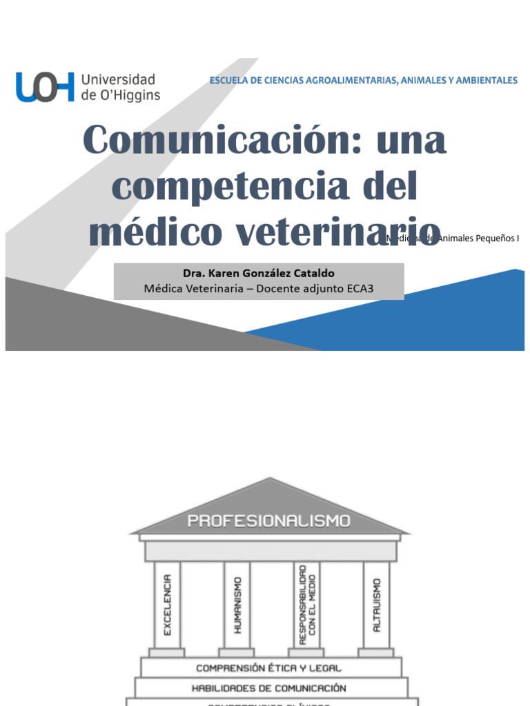 Clase 2 Comunicaci N | PDF