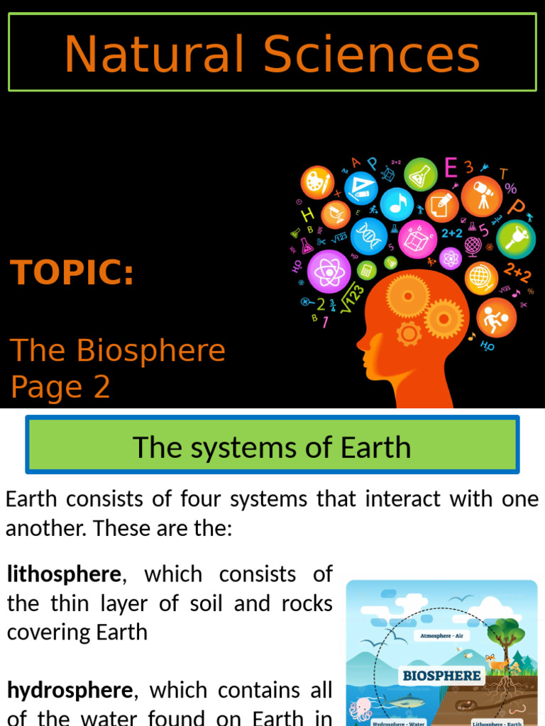 Unit 1 - Biosphere and 7 Life Processes | PDF