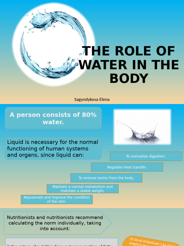 The Role of Water in The Body | PDF