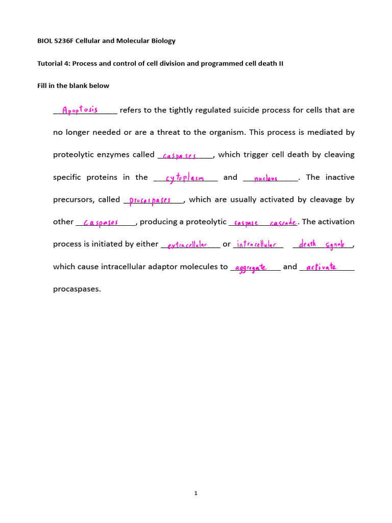 BIOLS236F Tutorial 4 - Cell Division - Qns | PDF