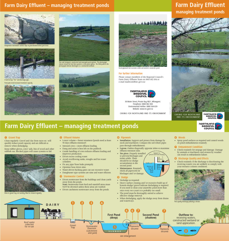 Farm Dairy Effluent - Managing Treatment Ponds | PDF