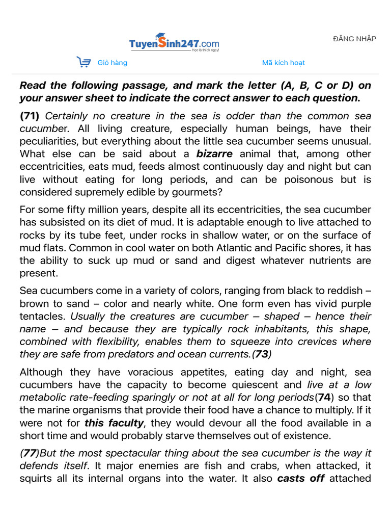 MU Reading-Sea Cucumber | PDF