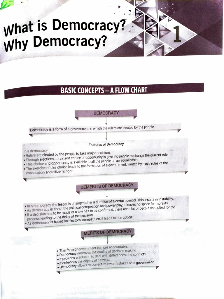what is democracy why democracy civics | PDF