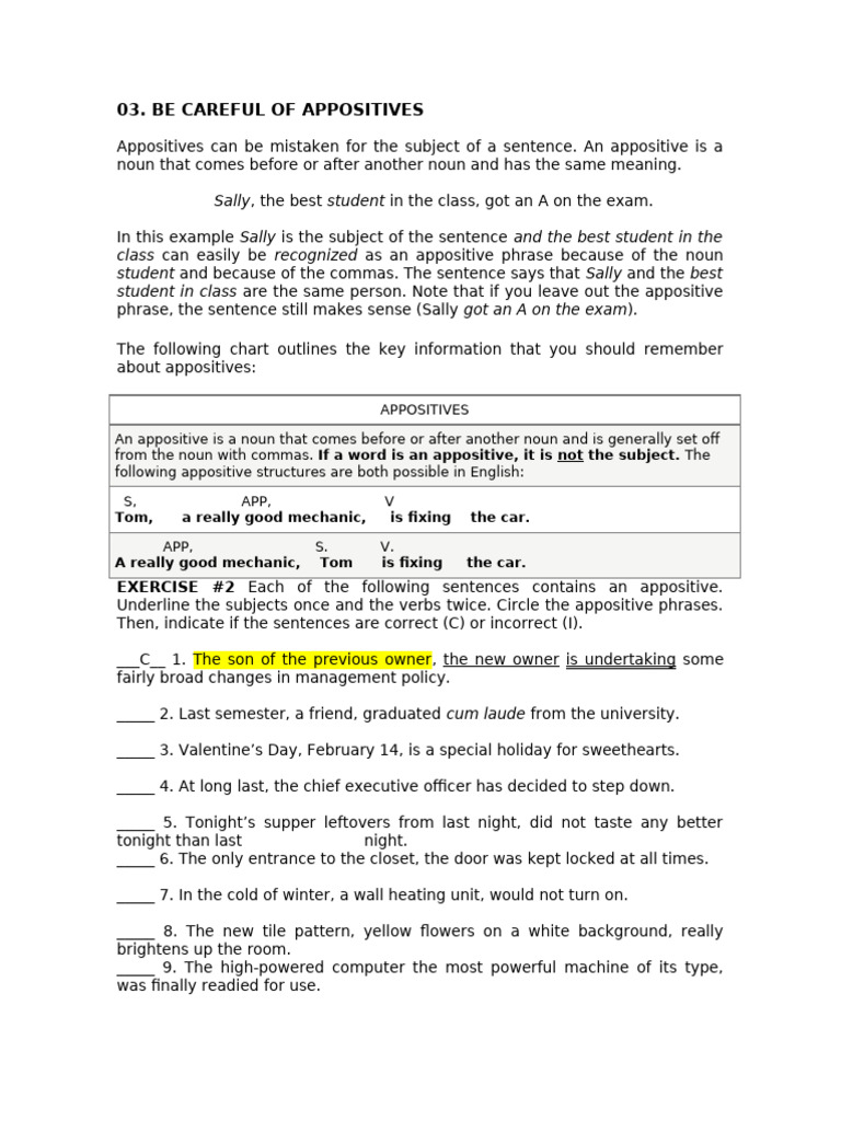 Be Careful of Appositives | PDF