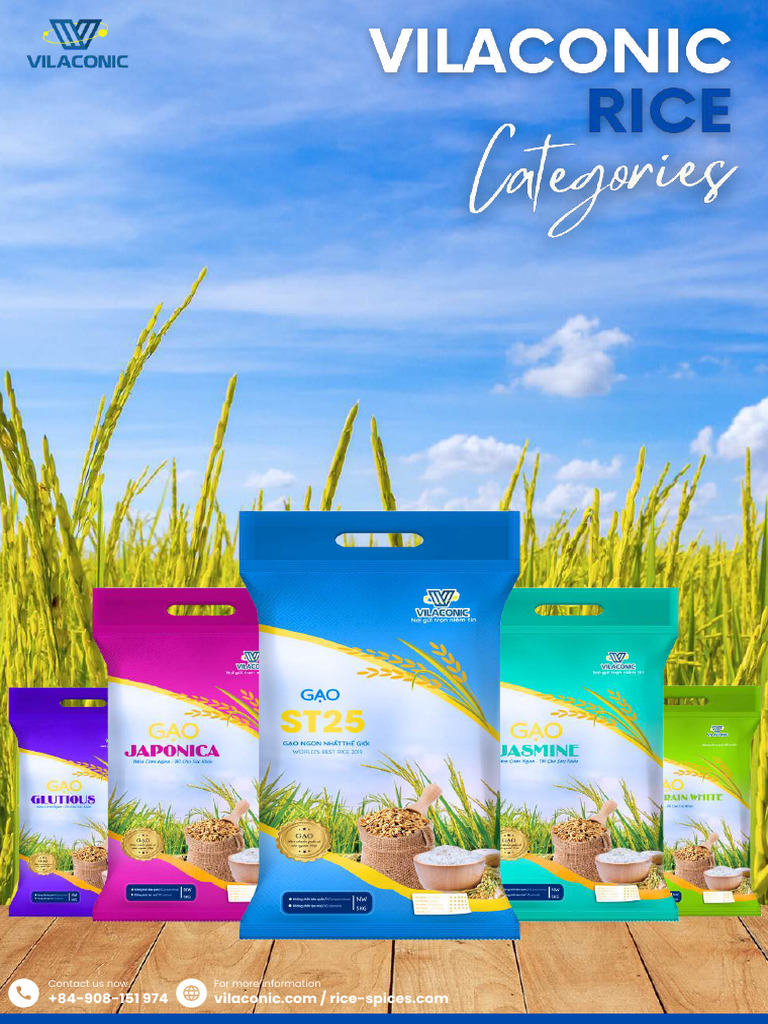 Rice Spices Coffee Flyer | PDF