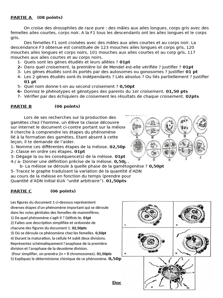 Devoir 3eme Trimestre Tle A | PDF
