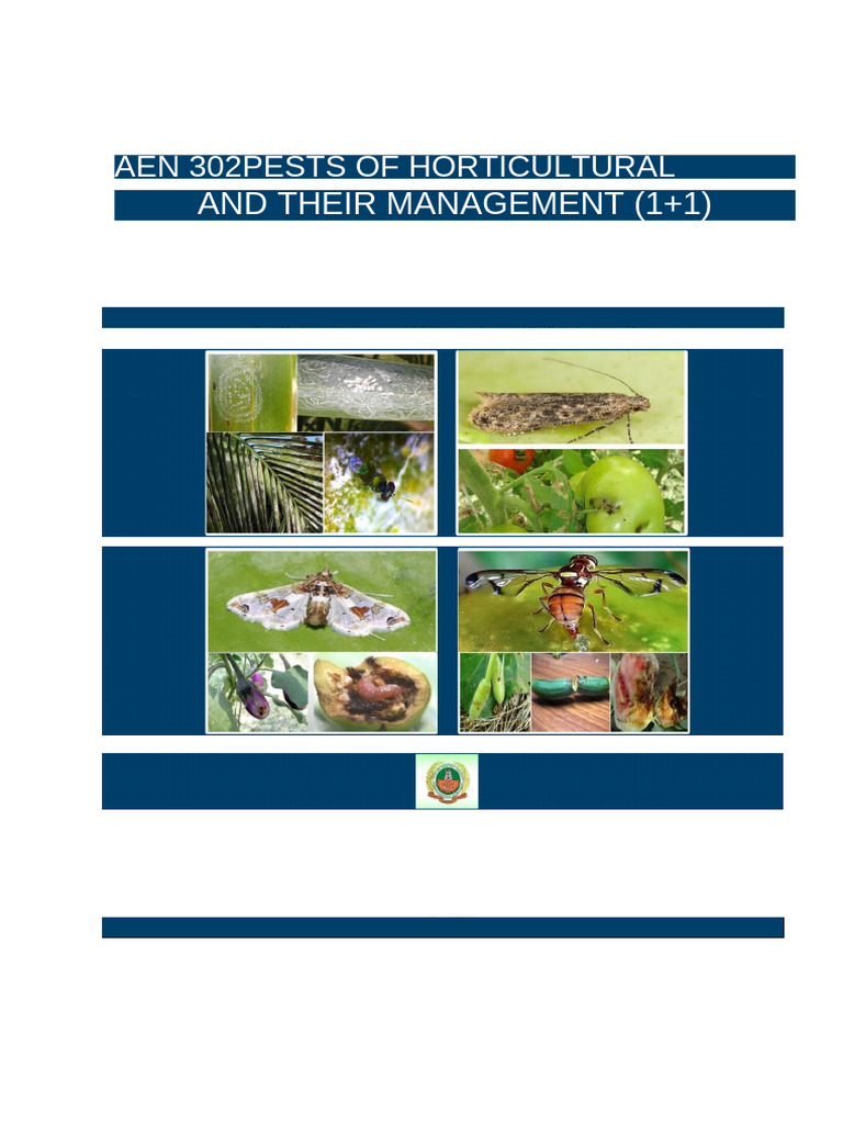 Insect Pests of Brinjal | PDF | Lepidoptera | Beetle