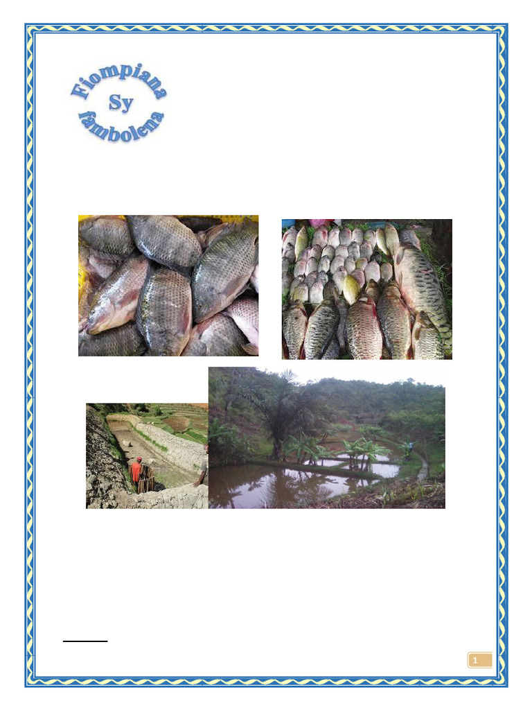 Fiompiana Trondro Nohatsaraina | PDF