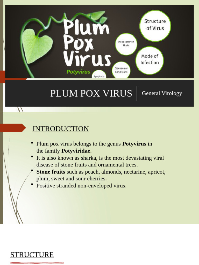 Plum Pox Virus 1 1 | PDF