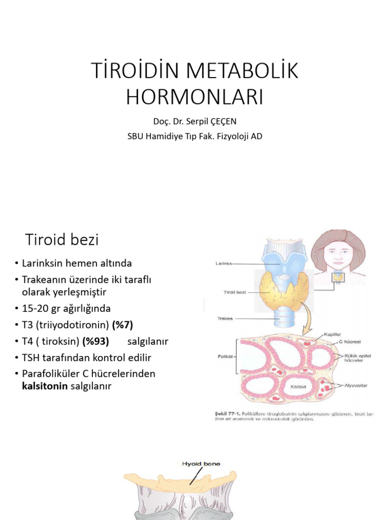 Ti̇roi̇di̇n Metaboli̇k Hormonlari | PDF