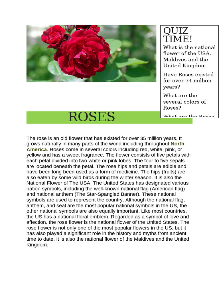 Roses | PDF