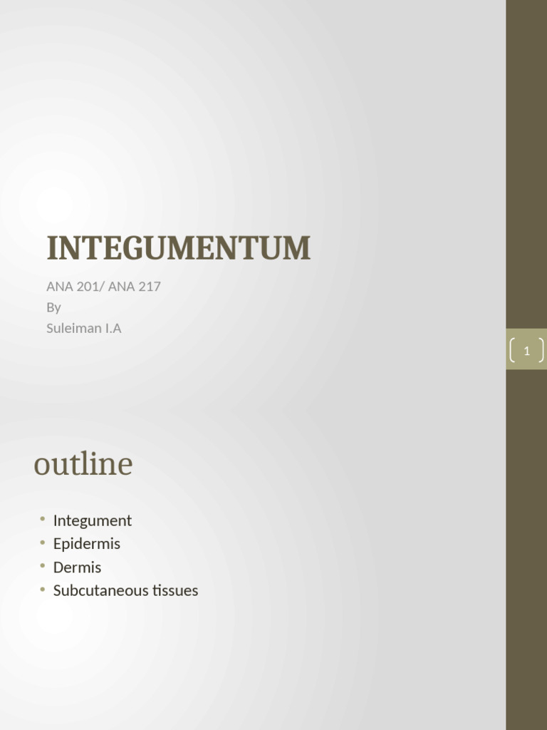 Integument System | PDF
