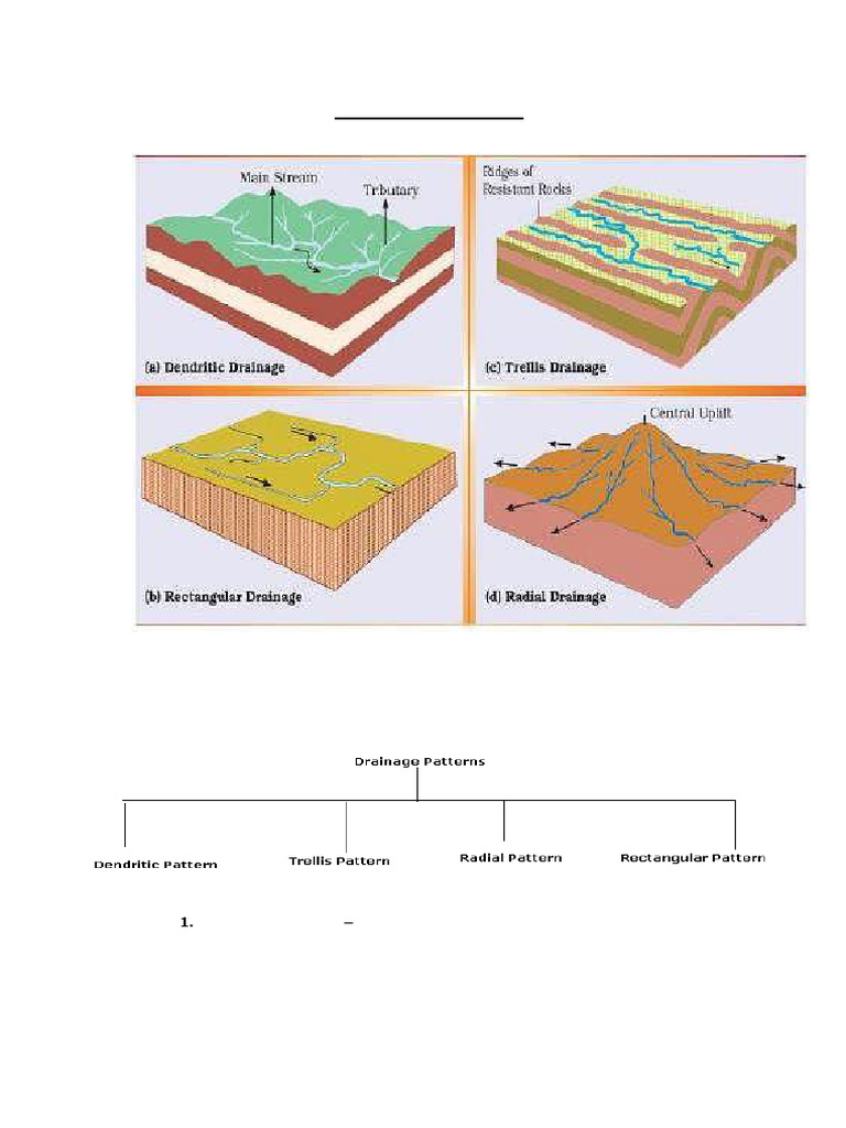 Swati Arora - Drainage | PDF