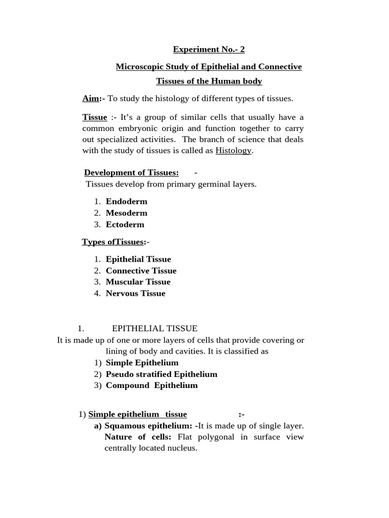 Experiment No - 2 | PDF