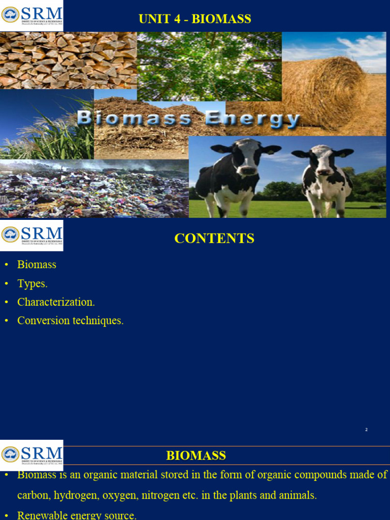 Biomass | PDF