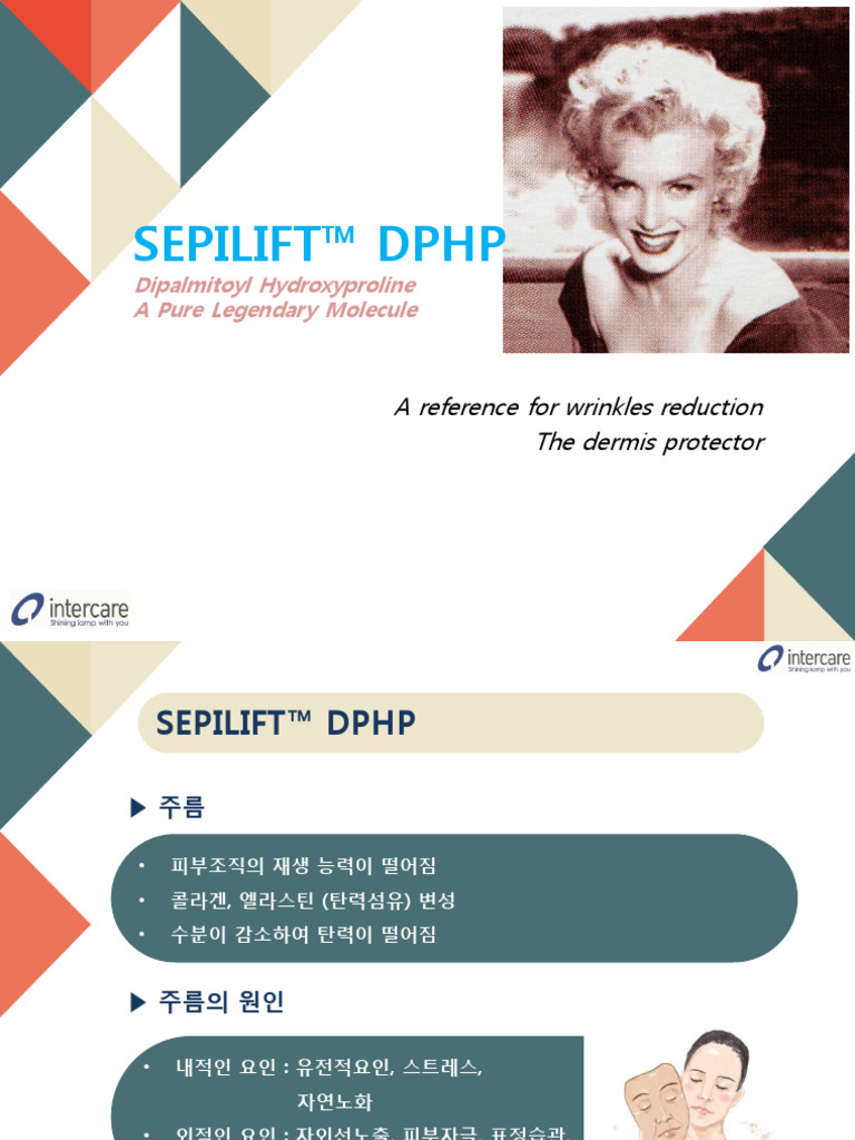 Sepilift Dphp 국문소개자료 (인터케어) | PDF