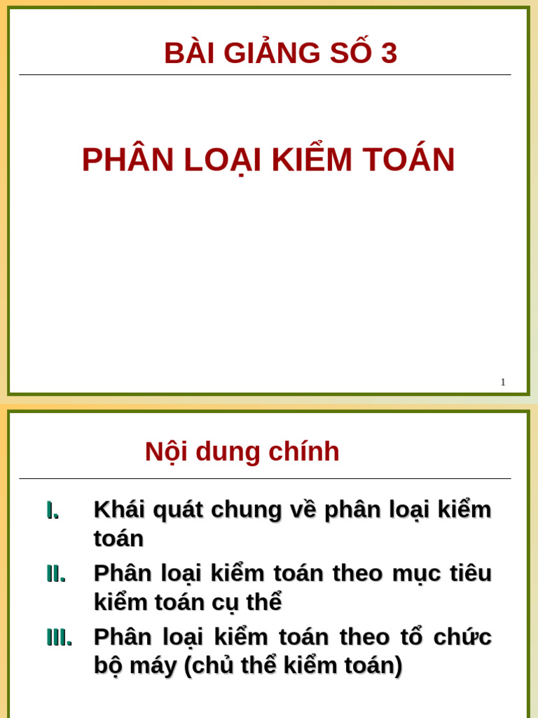 KTCB - C2-Phan Loai Kiem Toan | PDF