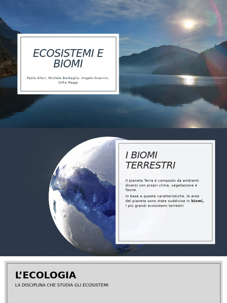 BIOMI | PDF