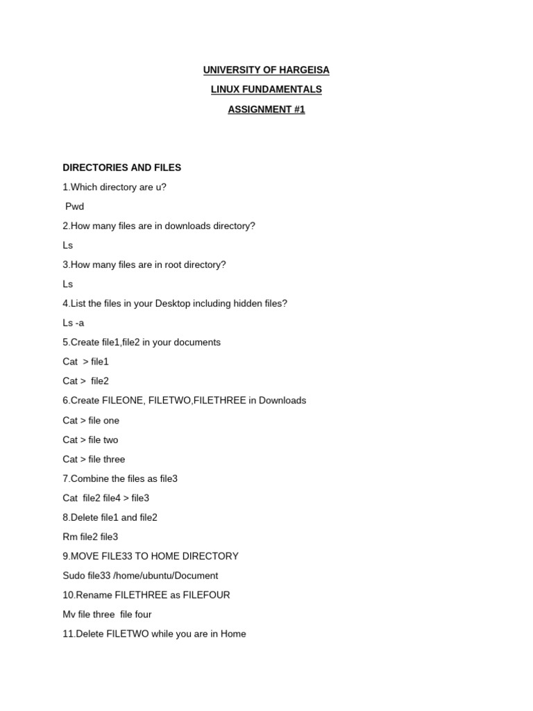 Last Assignment | PDF