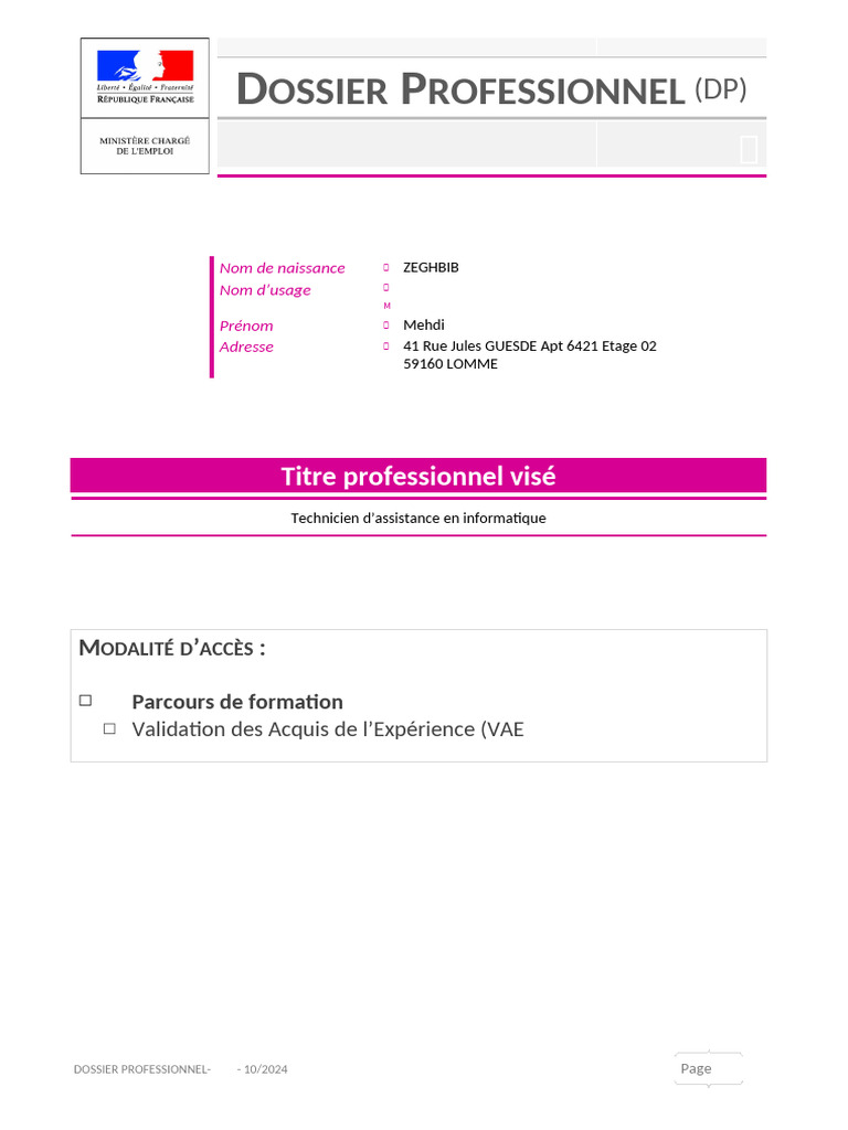 Dossier Professionnel | PDF