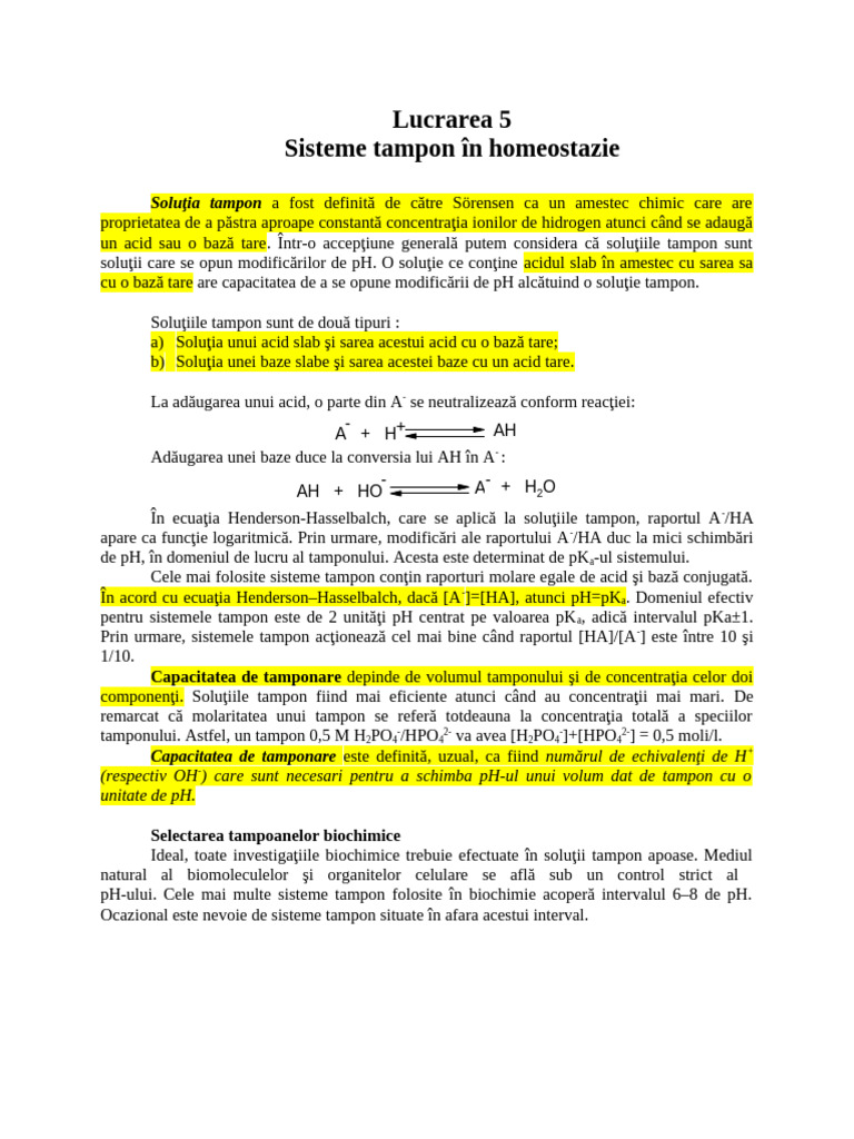 LP 6 2023 | PDF