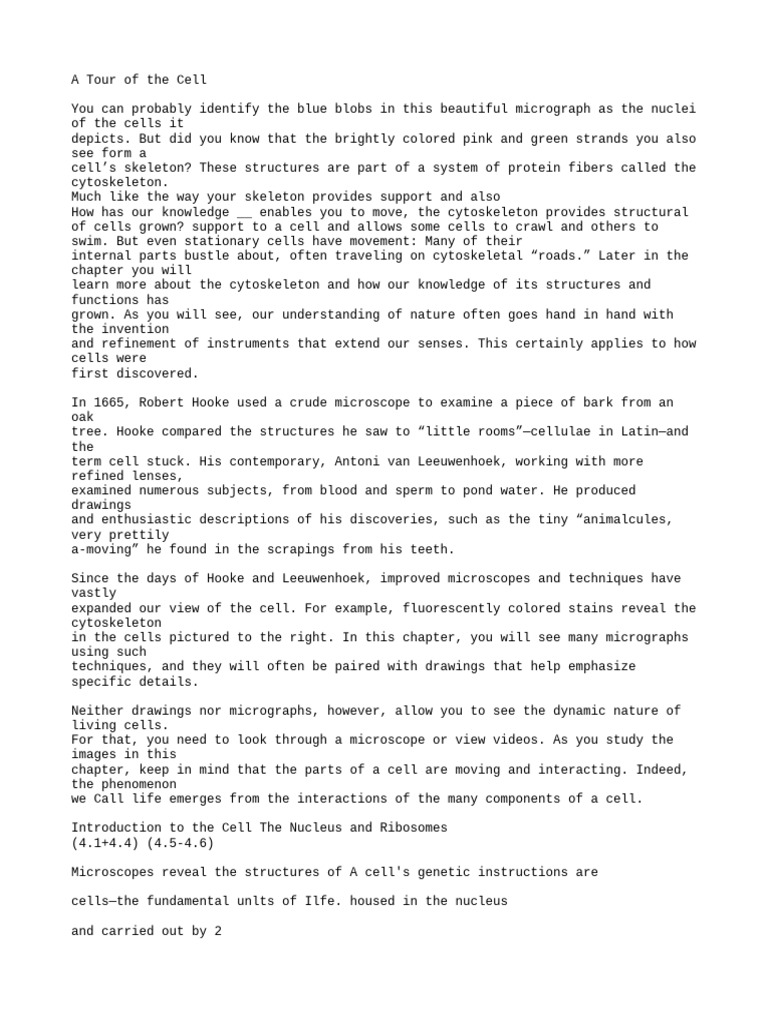 Chapter 4 - Tour of The Cell | PDF | Endoplasmic Reticulum | Science & Mathematics