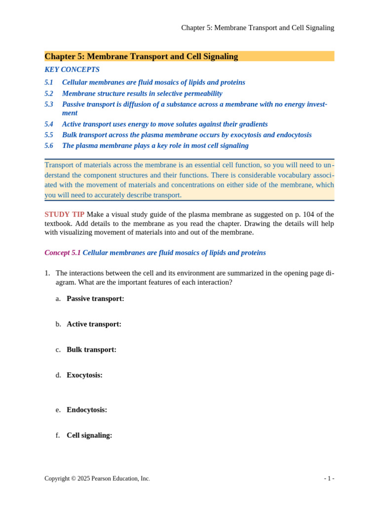 Chapter 5 Reading Guide Questions | PDF | Cell Membrane | Technology ...