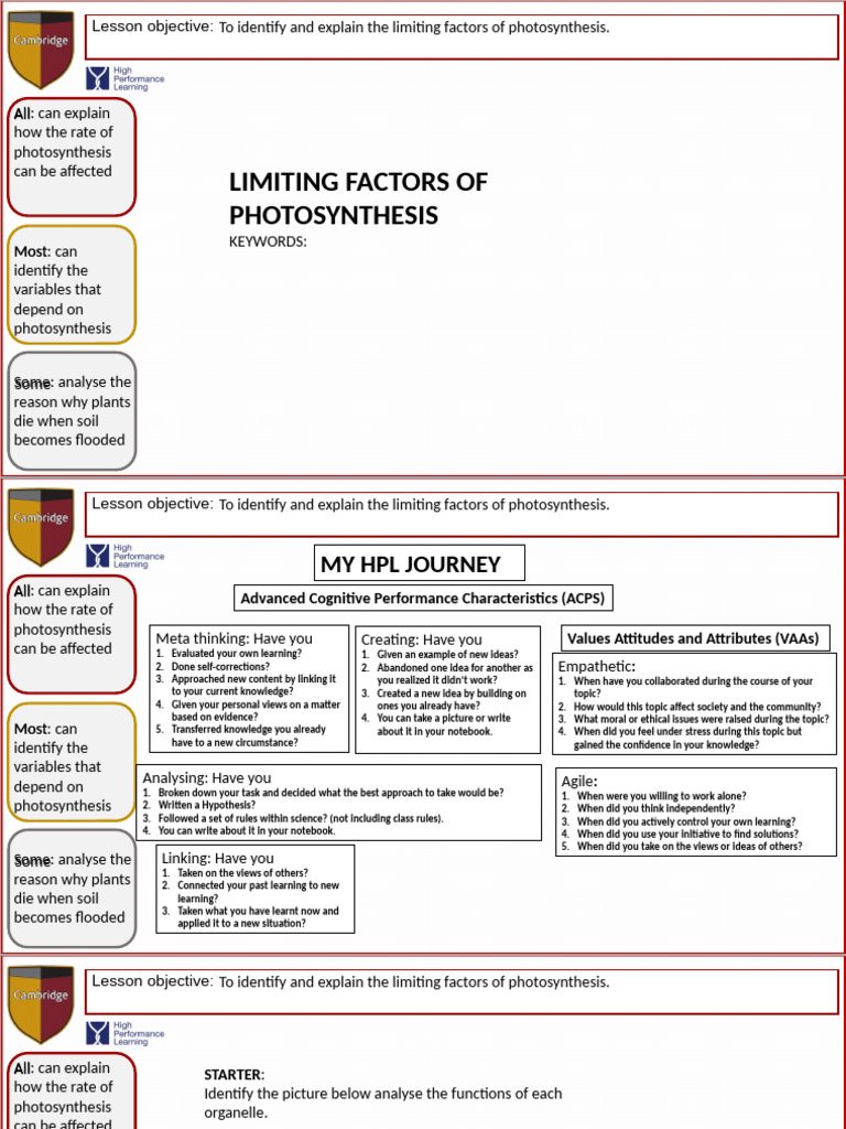 Limiting Factors - Photosynthesis | PDF