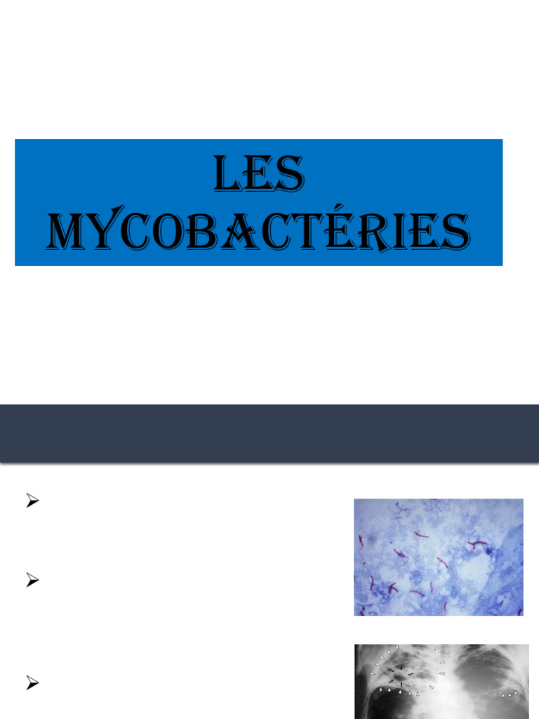 2-Les Mycobactéries Bacterio | PDF