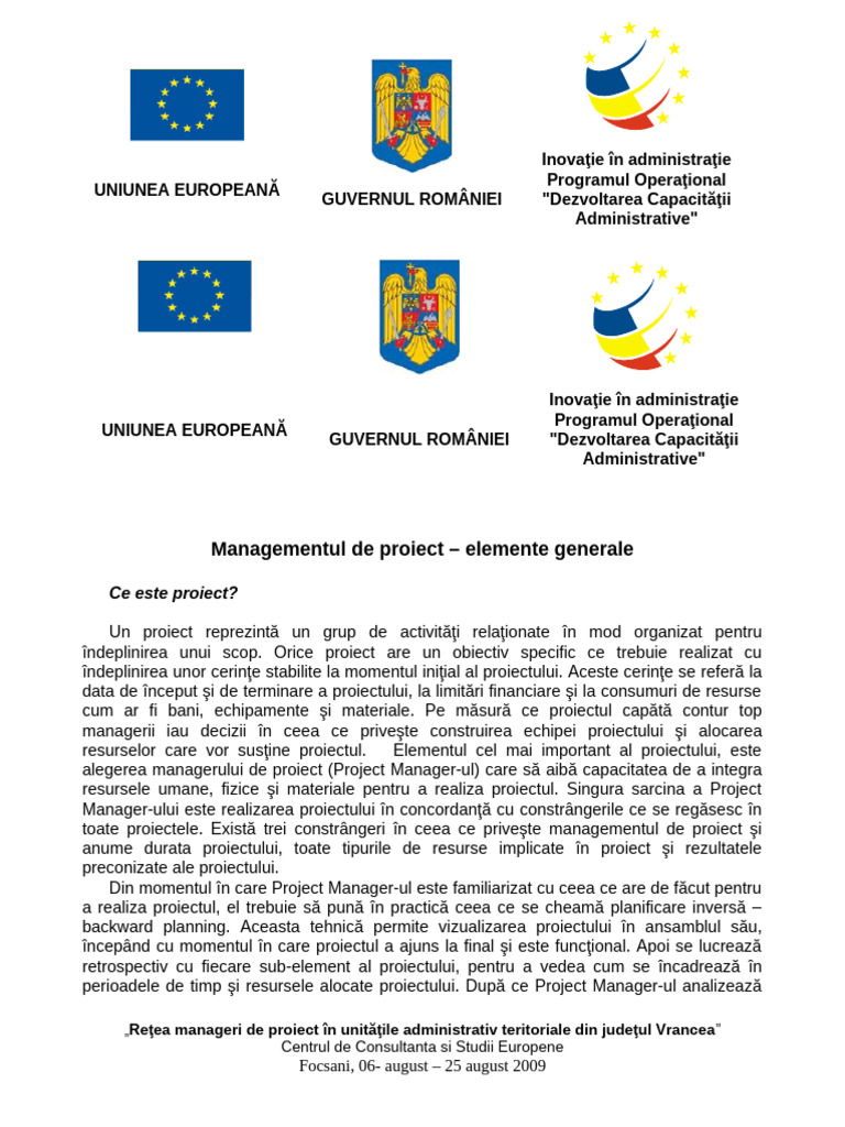 Manager de Proiect - Word 1 | PDF