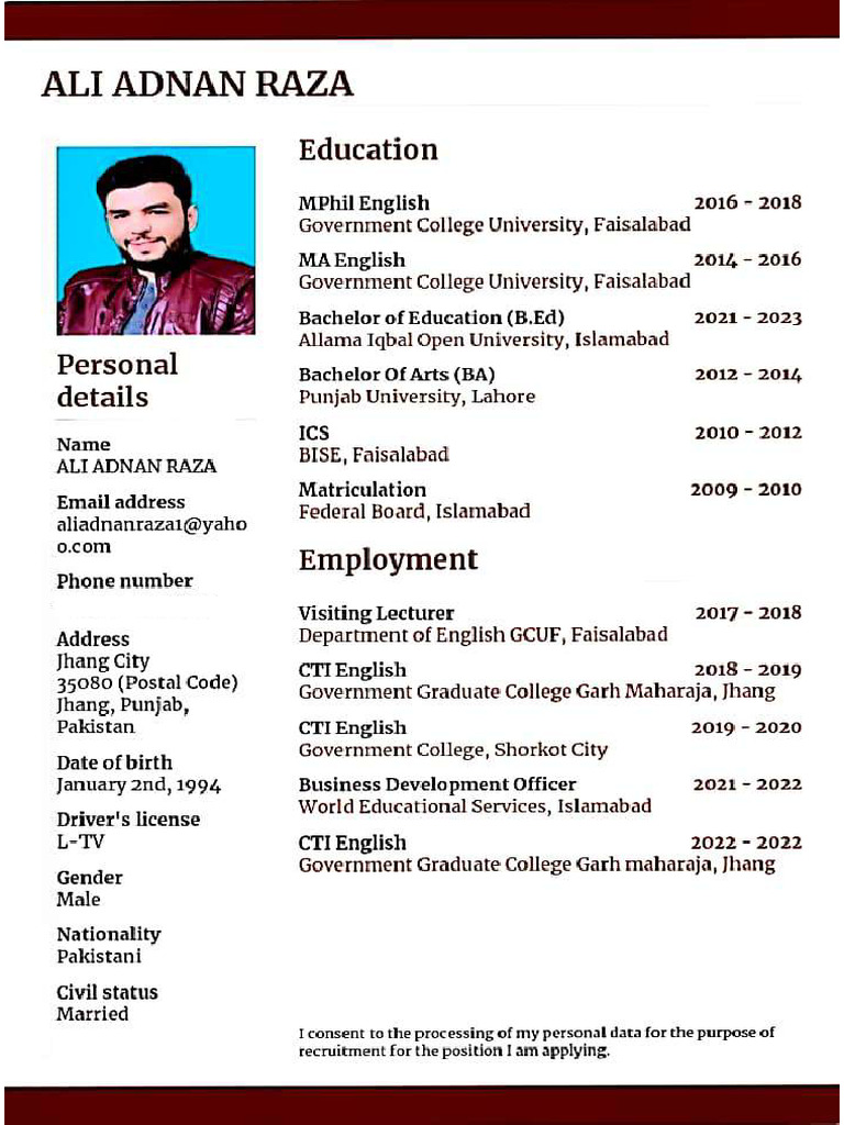 CV 2023 ALI ADNAN RAZA | PDF