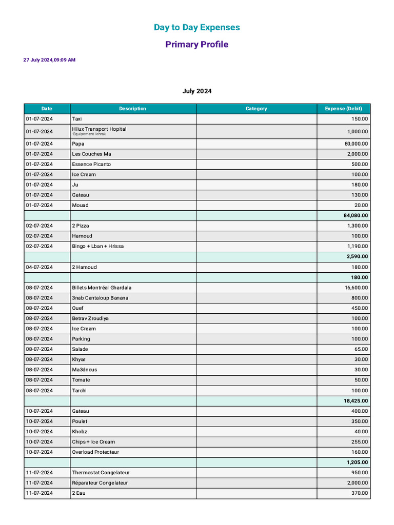 Day To Day Expenses | PDF