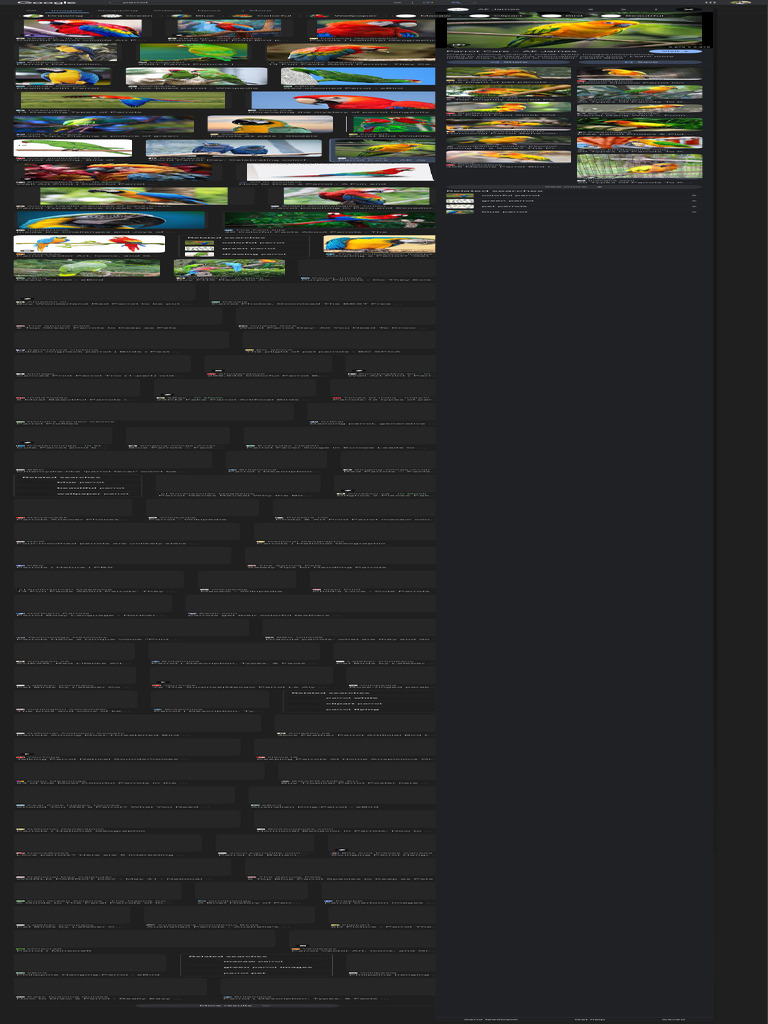 Parrot - Google Search | PDF