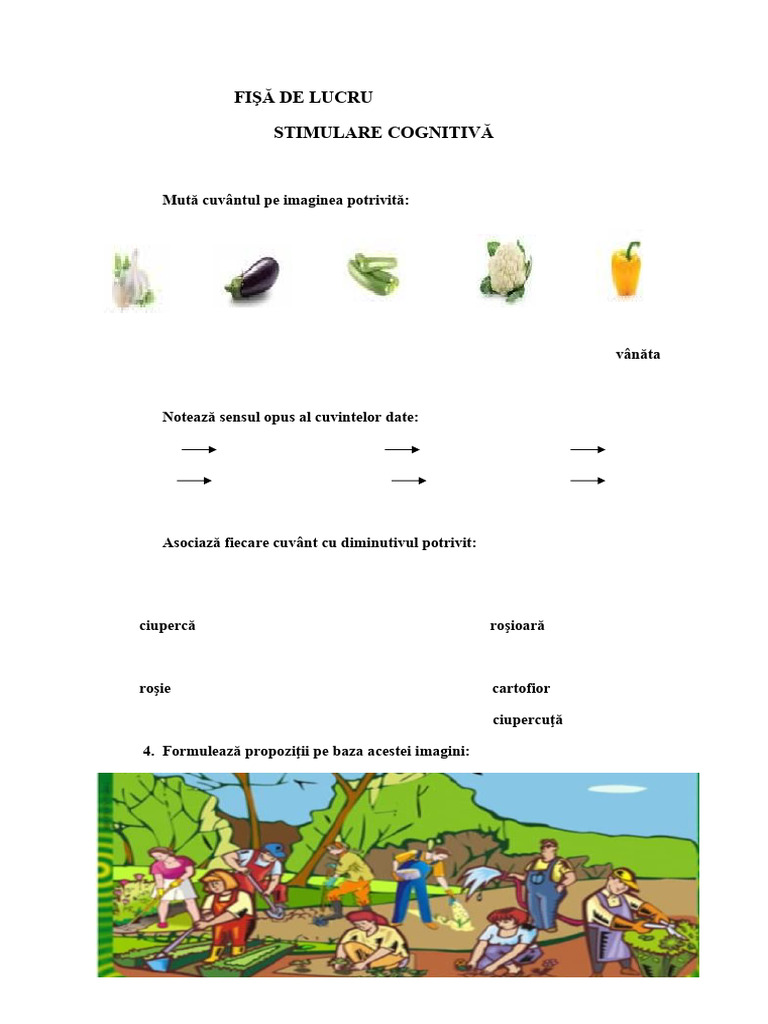 Fisa de Lucru Stimulare Cognitiva Nivel Maxim | PDF