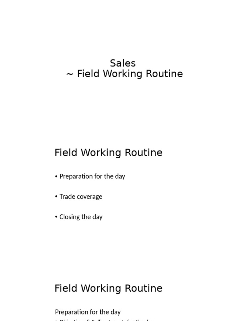 Sales Field Working Routine | PDF