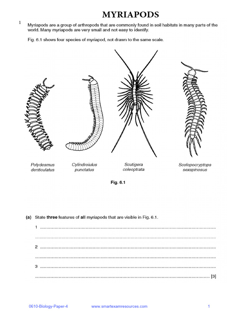 1.10 Myriapods QP Ms | PDF