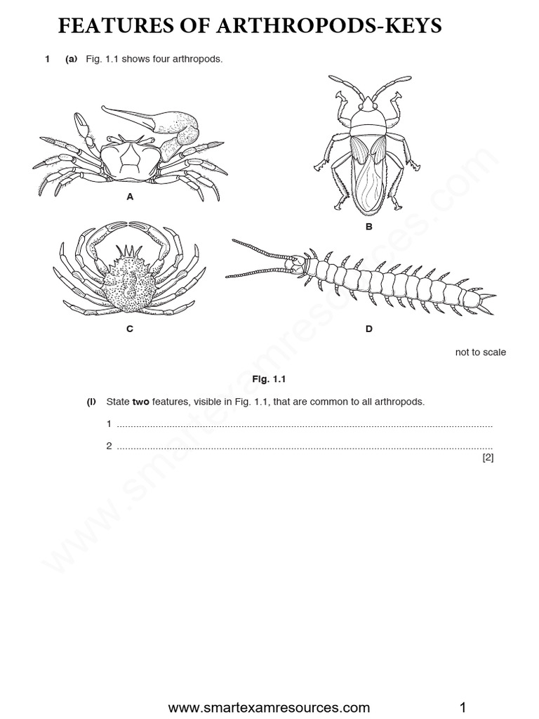1.5.3 Features of Arthropods Keys QP Ms | PDF