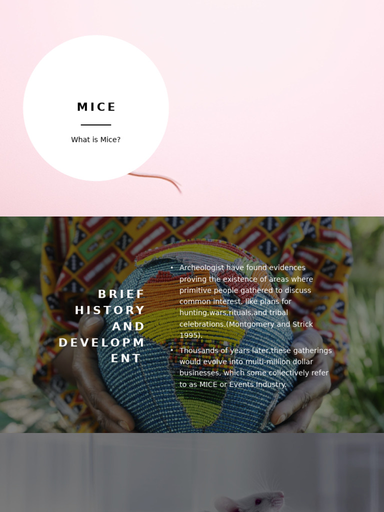 Presentation Mice Pdf
