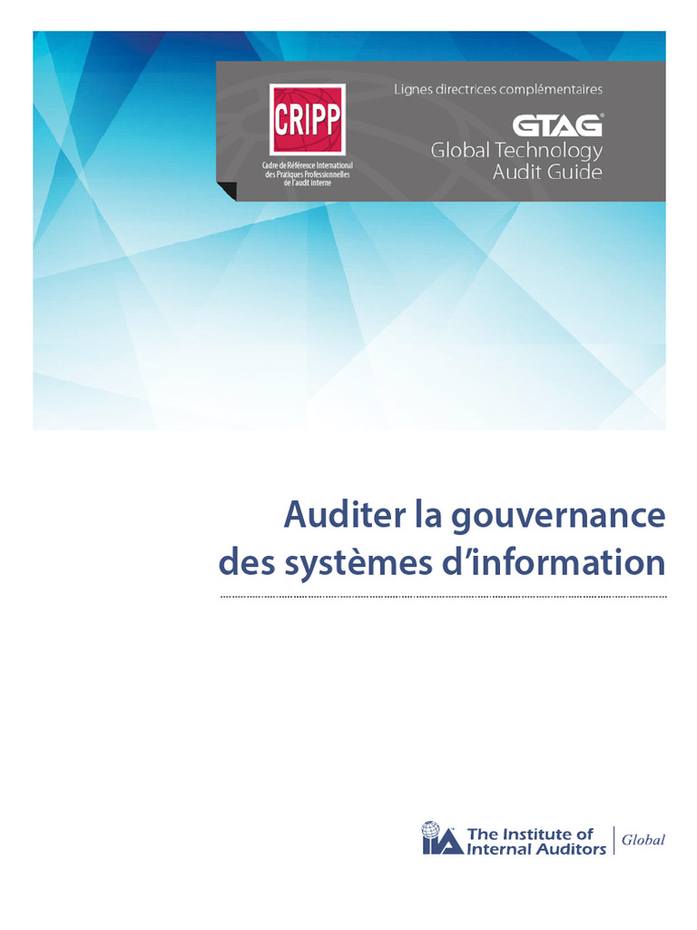 GTAG-Auditer Gouvernance SI | PDF