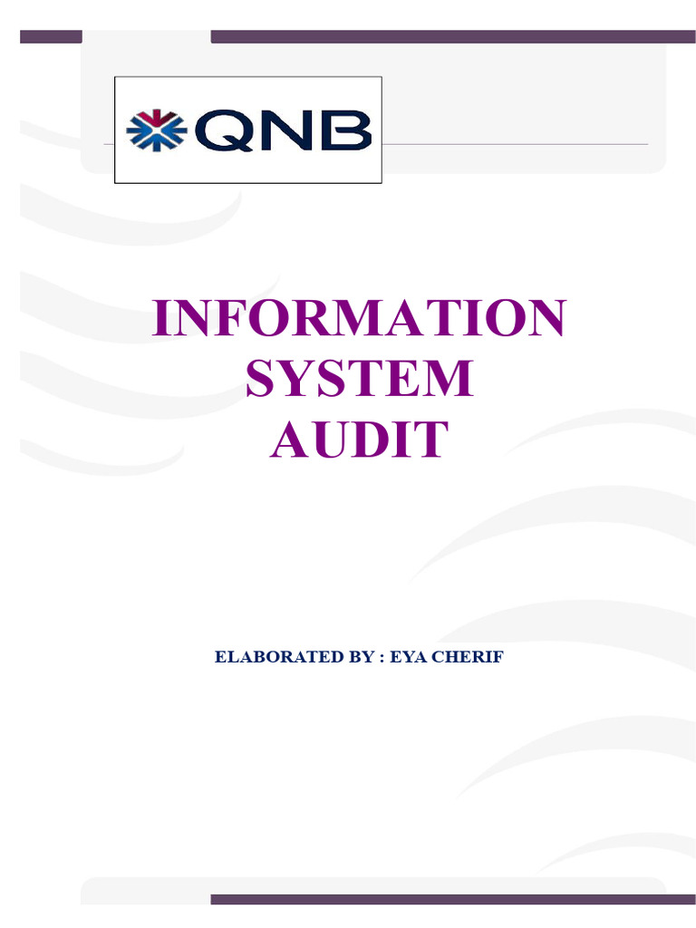 SI Audit | PDF