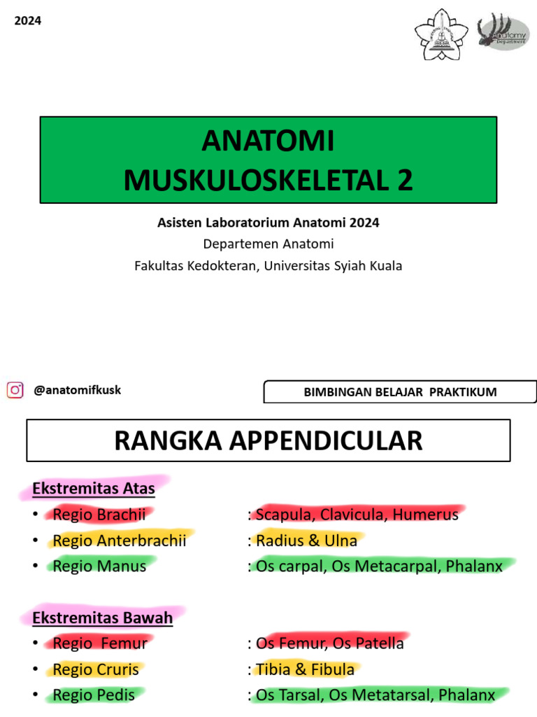 Anatomi Muskuloskeletal 2 | PDF