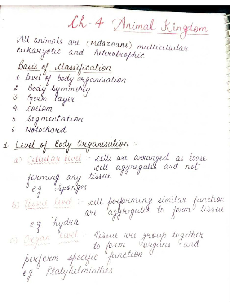 Ch-4 Animal Kingdom Notes | PDF