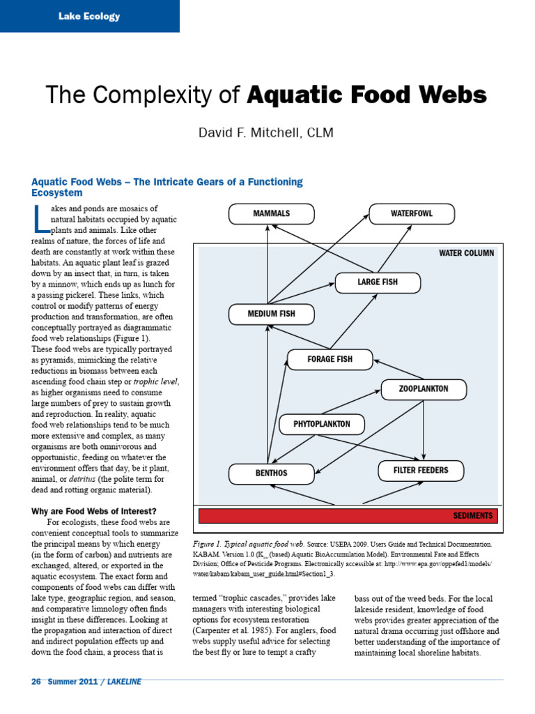 The Complexity Of: Aquatic Food Webs | PDF