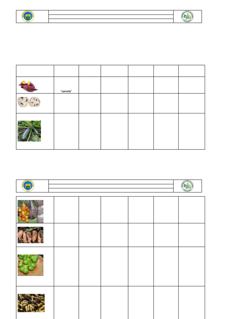 Tarea 07. Plantas Útiles | PDF